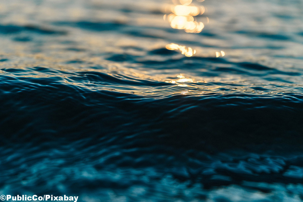 Blue gold - Water, a precious resource - ARKT