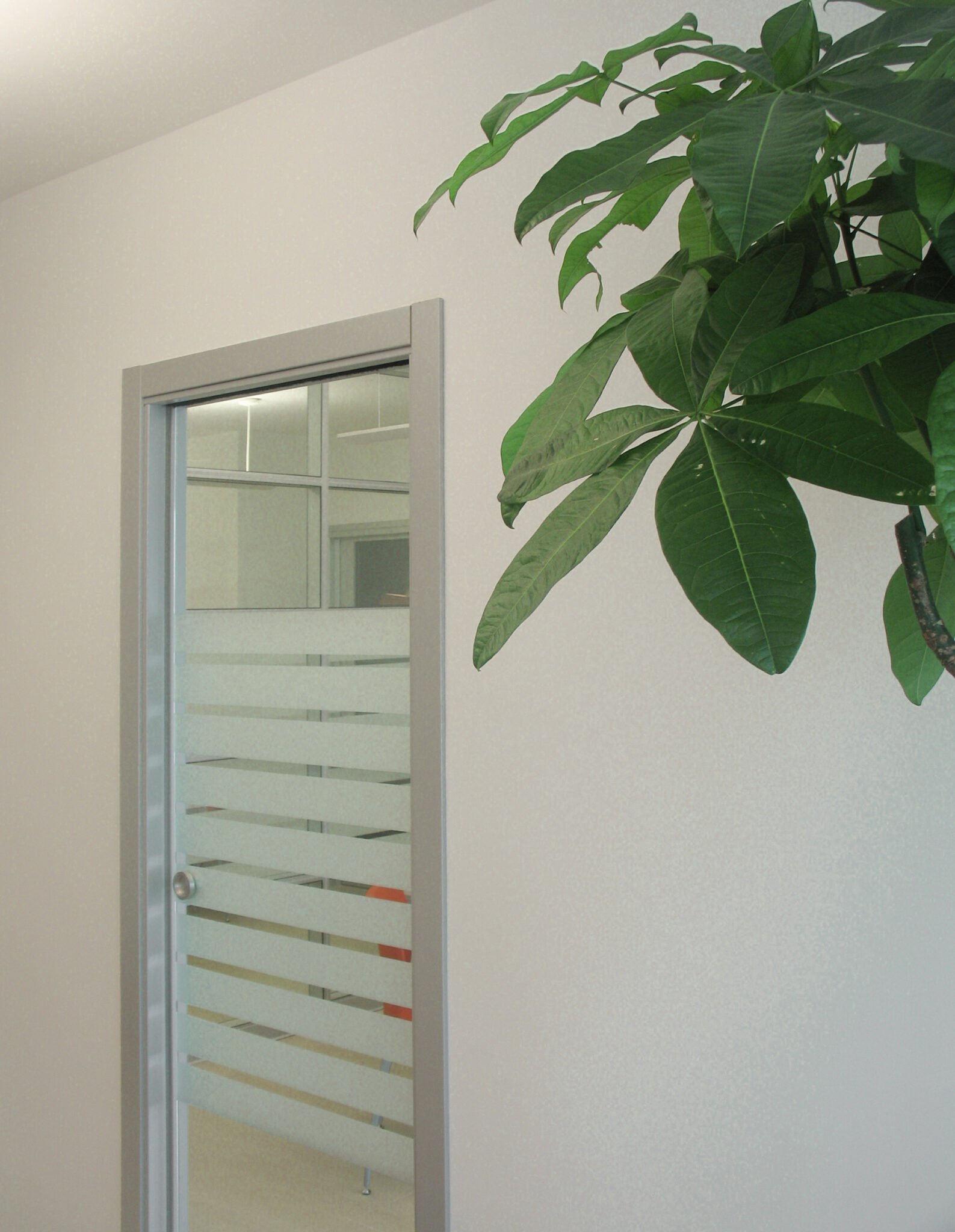 Domenico De Rito: it is always the light that dictates the design - ARKT